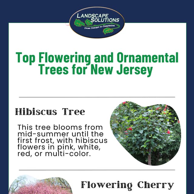 Top Flowering and Ornamental Trees for New Jersey.pdf