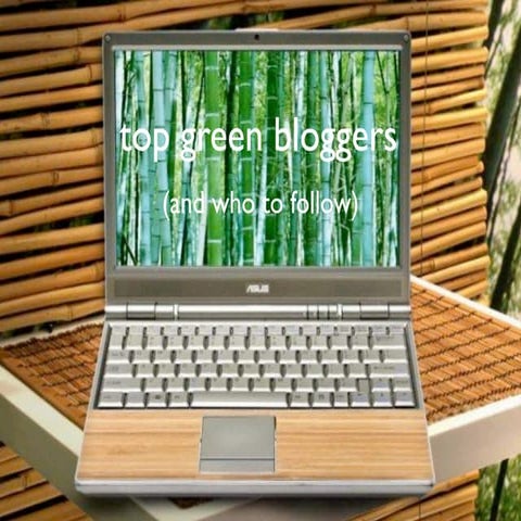 Top green bloggers (and who to follow) | PPT