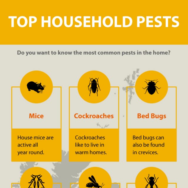 Top 10 household pests | PDF