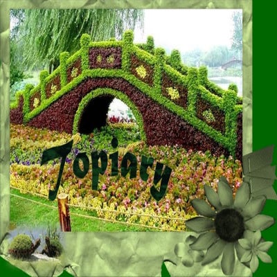 Topiary, Plant Art | PPS