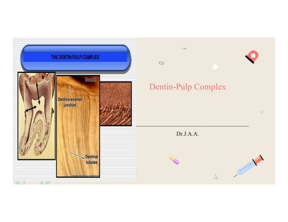 Histology of dentin | PPT