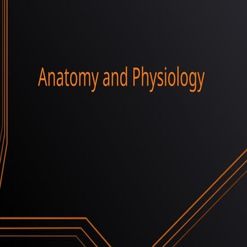 Topic 02 - Anatomical + Directional Terms.pptx