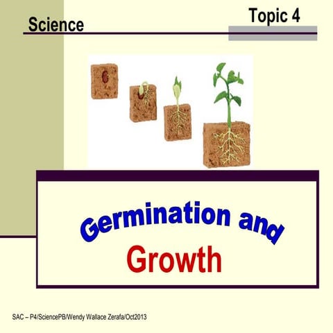 Science - Topic 04: Germination and growth | PPT