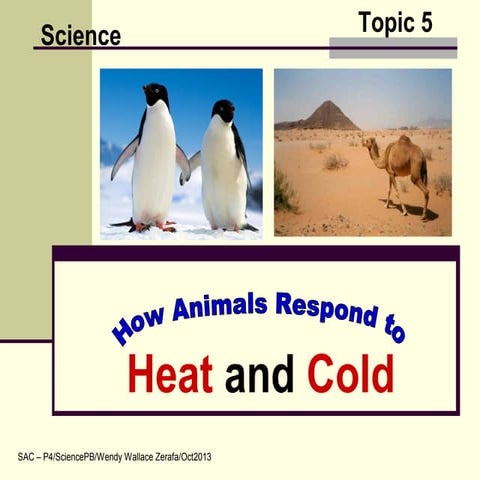 Science - Topic 05: How animals respond to heat and cold | PPT