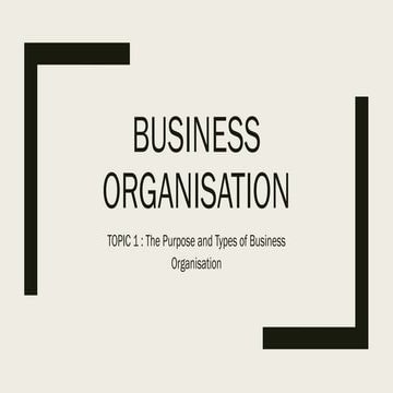 Managerial economics - Chapter 4.1 Types of Business Organizatiton.pptx