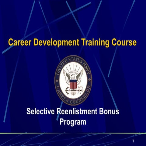 Topic 1.24 SRB (Selective Reenlistment Bonus) | PPT
