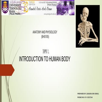 Topic 1 -introduction_to_human_body | PPT