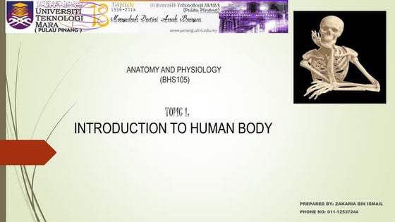 introduction to HAP,cell meaning,composition,function | PPT
