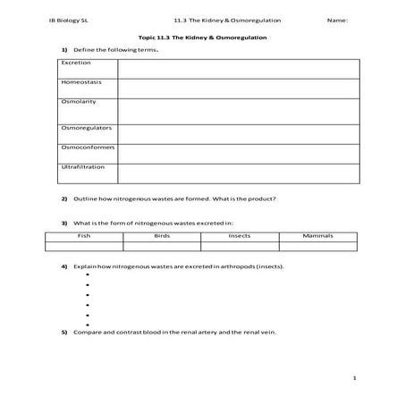 Topic 11.3 the kidney & osmoregulation notes | DOCX