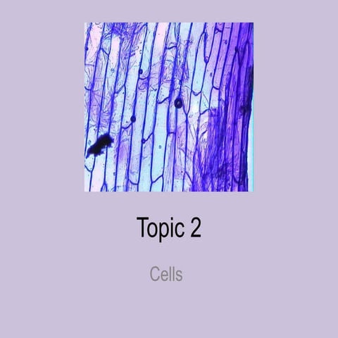Topic 2: Cells | PPT