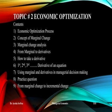 Topic 2 economic optimization | PDF