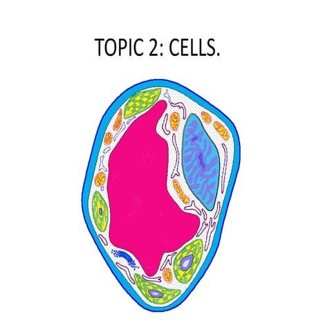 Topic 2 cells-1 | PPTX