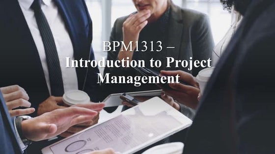 Lecture 1. general introduction to project management | PDF