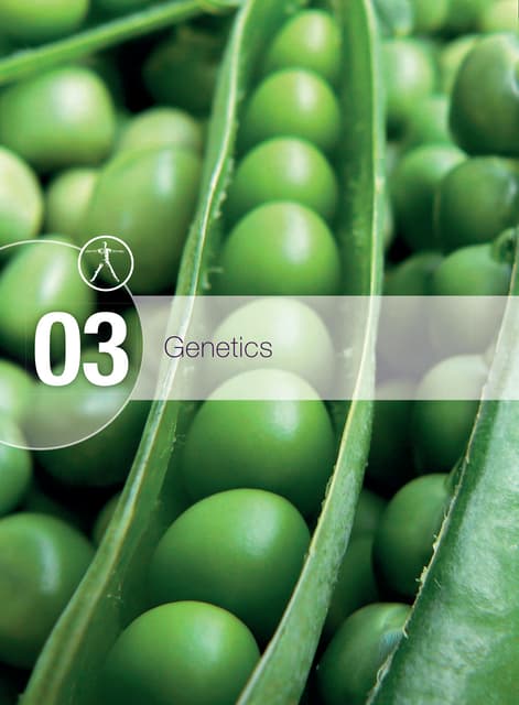 lecture on genetics: location of gene in the chomosomes.pptx