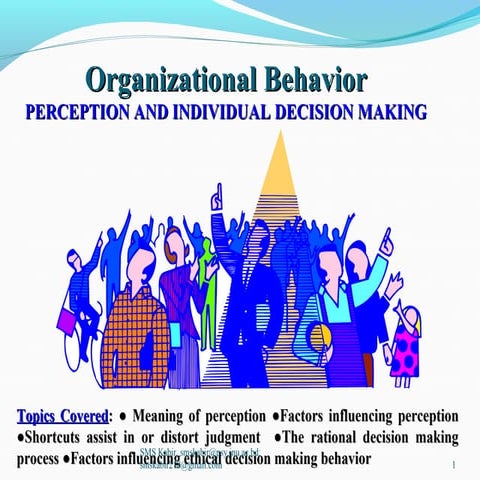 Perception and Individual Decision Making | PPT