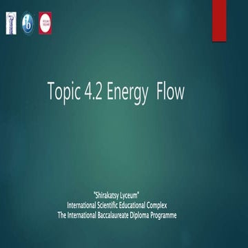 Topic 4.2 Energy Flow | PPT