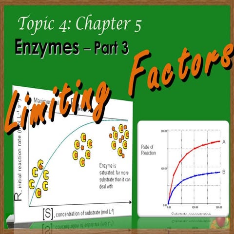Topic 4 chapter 5 part 3 enzymes - limiting factors | PPT