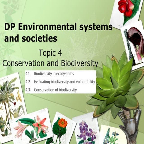 Conservation 4.3 | PPT
