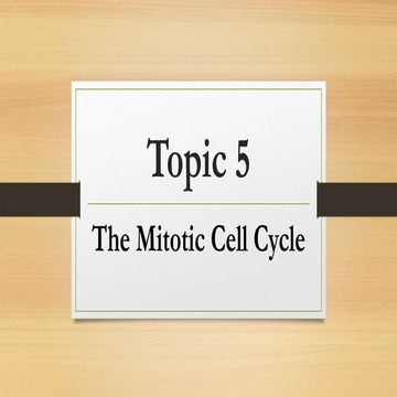 AS Level Biology - 5/6) Mitotic Cell Cycle and Protein Synthesis | PPTX