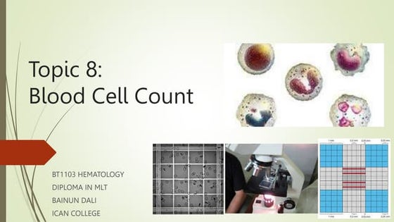 RBC count and WBC count | PPTX | Blood Disorders | Diseases and Conditions
