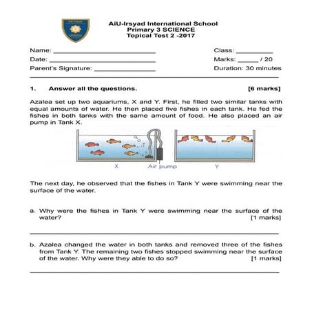 Science Topical Test- Year 3 | PDF