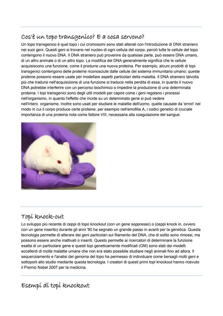 Topi knock out | PDF