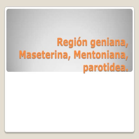 Anatomía de la Región Maseterina | PPTX