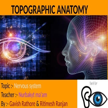 Topographic Anatomy Of The Organ Of Vision (1).pptx