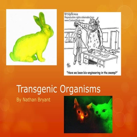 Introduction-to-Transgenic-Organisms.pptx