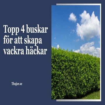 Topp 4 buskar för att skapa vackra häckar | PDF