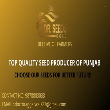 TOP QUALITY SEED PRODUCERS IN PUNJAB - DRSEEDS - BELEIVE OF FARMERS.pptx