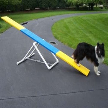 Top reasons to training dog tricks | PPT