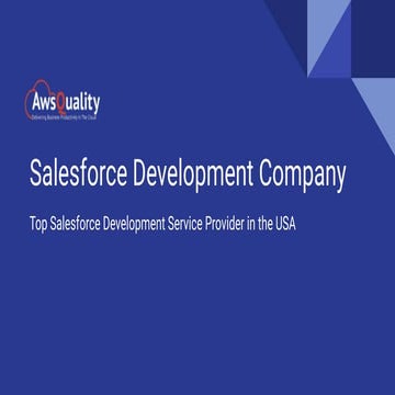 Top Salesforce Development Company in the USA - In 2024 | PDF
