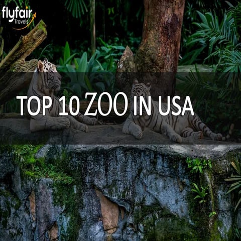 THIS POST WILL TAKE A LOOK AT THE TOP 10 ZOOS IN USA | PPT