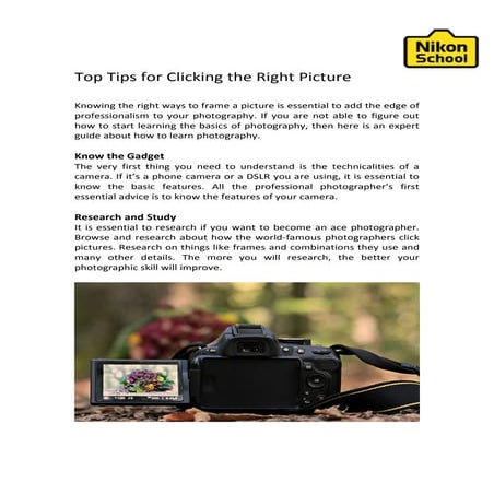 Top Tips for Clicking the Right Picture | PDF