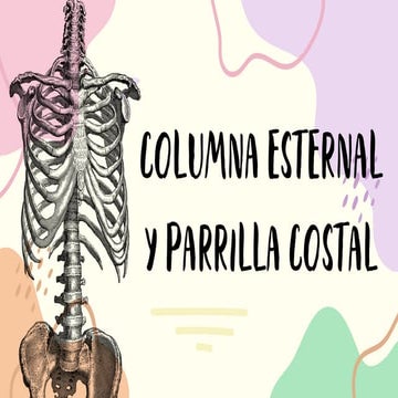 Caja torácica, parrilla costal y el esternón | PDF