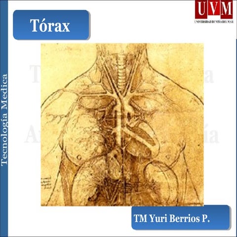 Interpretacion de radiografia PA de torax o tele de torax | PDF