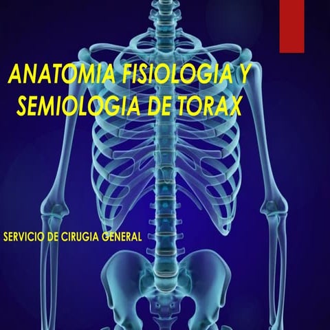 Torax - Anatomía de tórax | PPTX