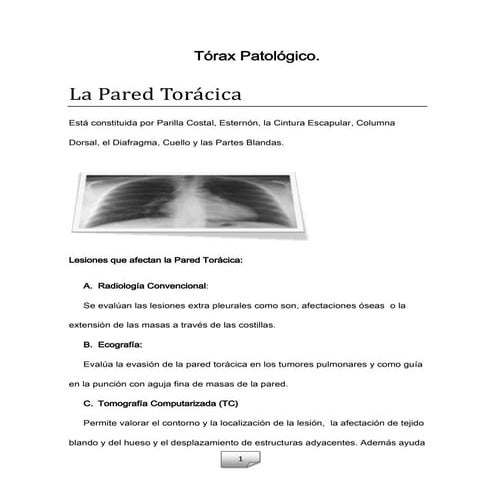Torax patologico | DOCX