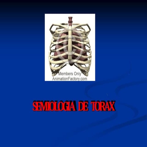 TORAX SEMIO .pptx gyug | PPTX