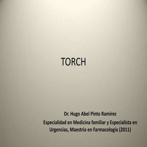Perfil Torch