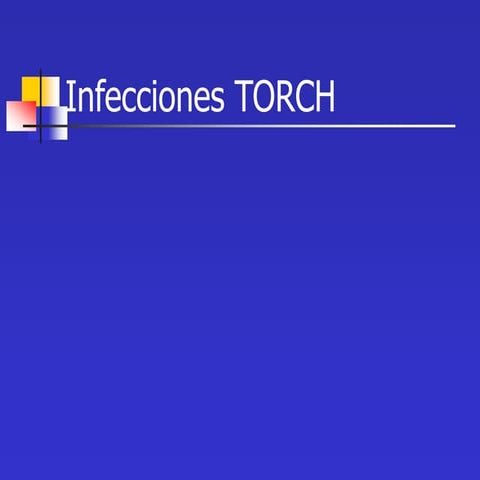 TORCH.ppt