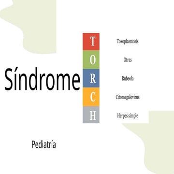 TORCH TOXOPLASMA OTROS RUBEOLA CMV HERPES SIMPLE | PPTX