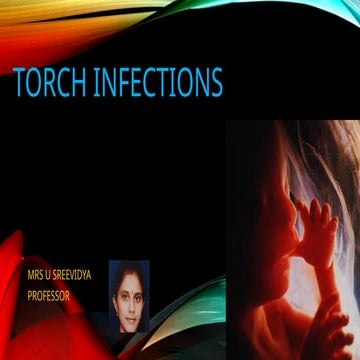 TORCH INFECTIONS.pptx TOXOPLASMOSIS CYTOMEGALOVIRUS | PPTX