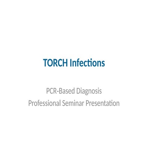 TORCH_Professional_Seminar_Presentation.pptx