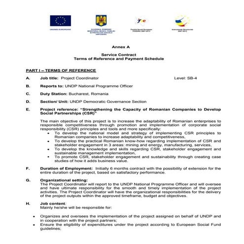 Cameron White LinkedIn Resume | DOCX