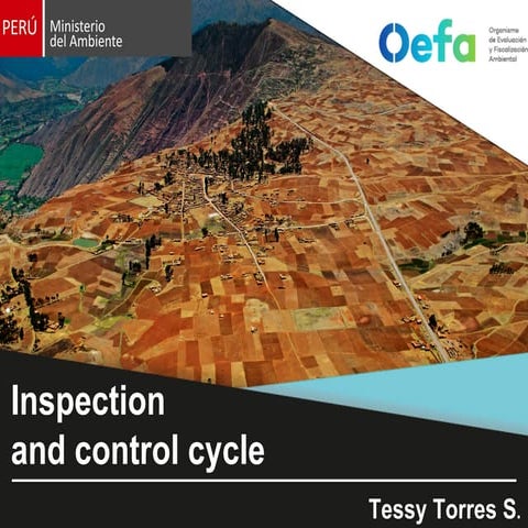 Inspection and Control Cycle | PDF