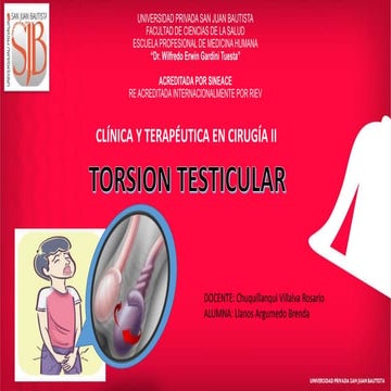 Torsion Testicular Final 1 Ppt