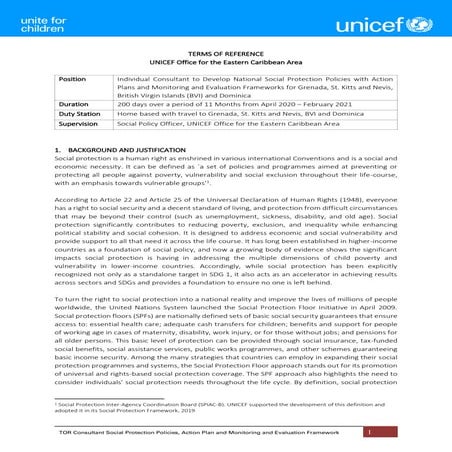 TOR_social_policy_Consultant_to_develop_social_protection_policies.pdf
