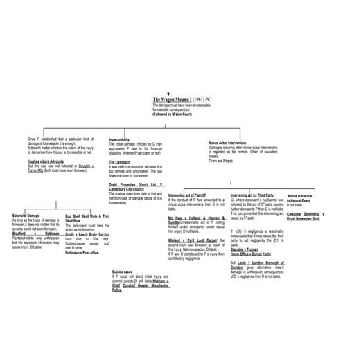 Torts causation in_law | DOC